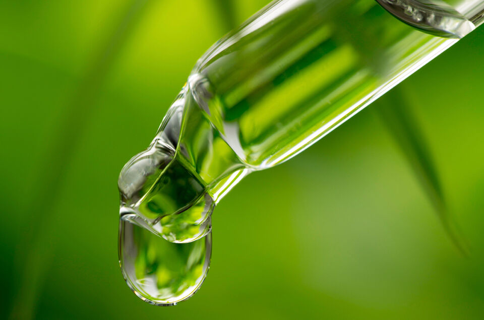 Ramnosa: origen y beneficios | MakeUpArgentina -Paola Rodriguez-